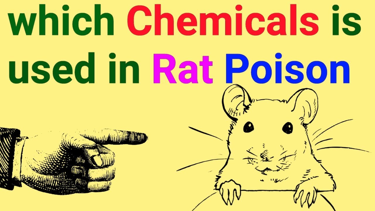 Chemicals in Rat Poison || Best Rat poisons || Rat control || Chemicals ...