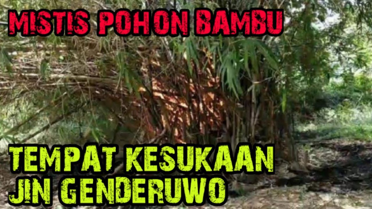MITOS POHON BAMBU MENJADI TEMPAT BERSARANGNYA GENDERUWO!! MENGERIKAN😱😱 ...