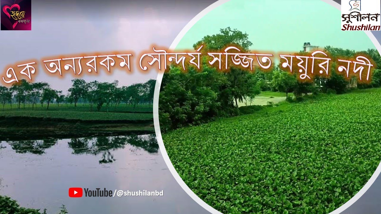 এক অন্যরকম সৌন্দর্য সজ্জিত ময়ুরি নদী I Different beauty of Moyur River ...