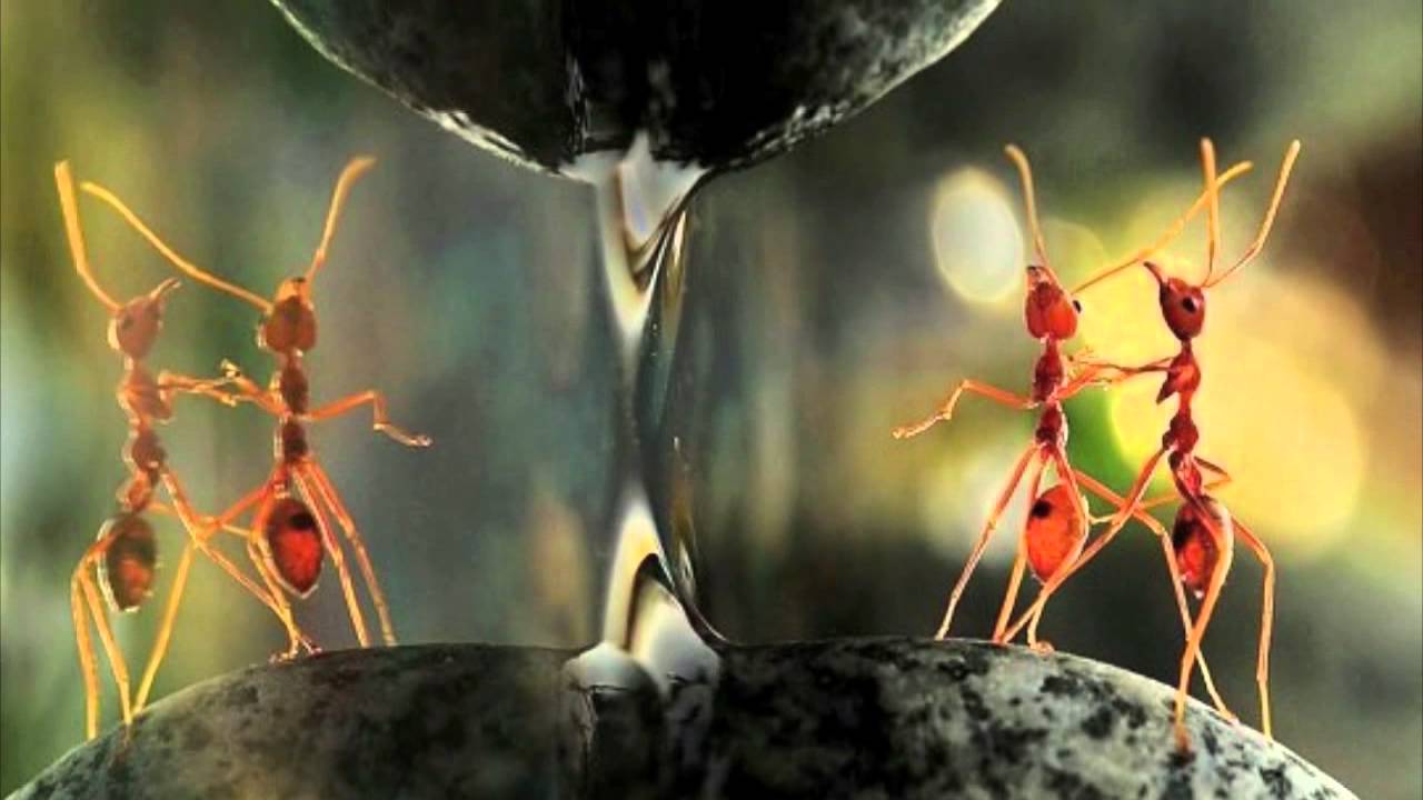 The Extraordinary Photography of Laurent Schwebel - YouTube