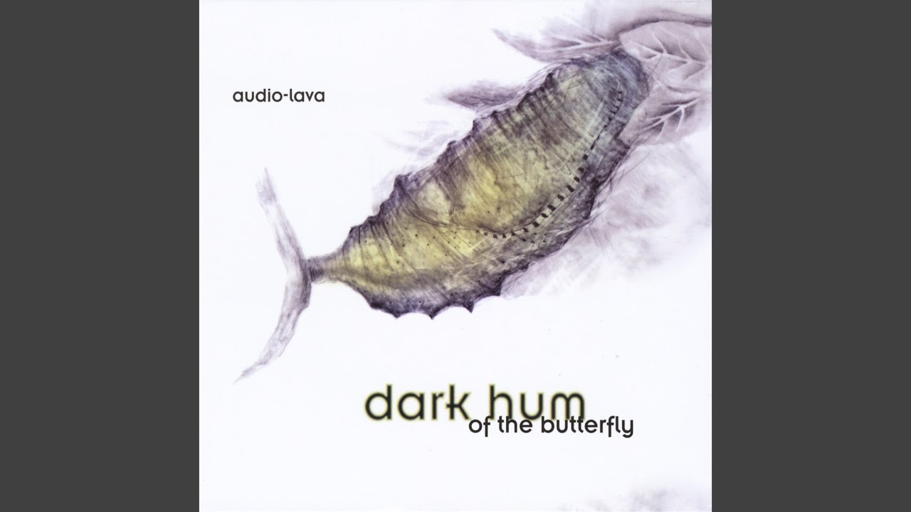 Butterfly:The Dark Hum - YouTube