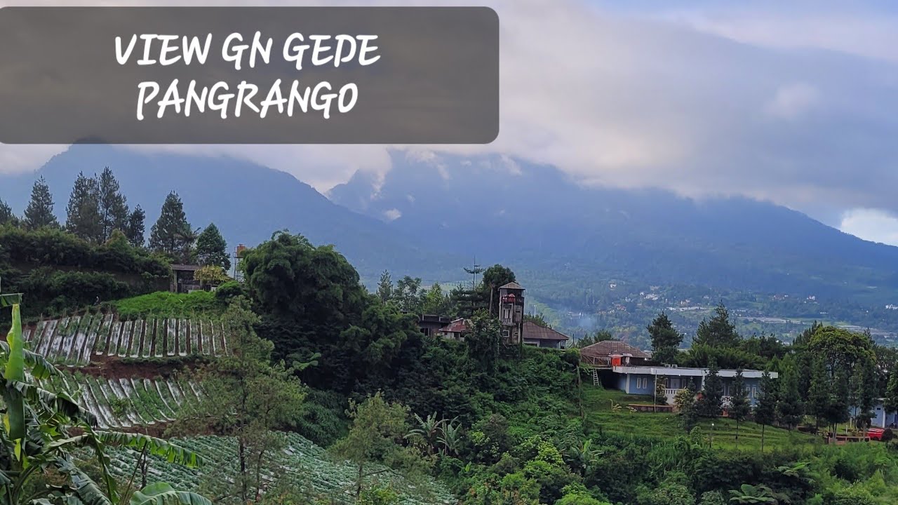 VILLA PINUS SUITE MASADA VILLAGE CISARUA PUNCAK - YouTube