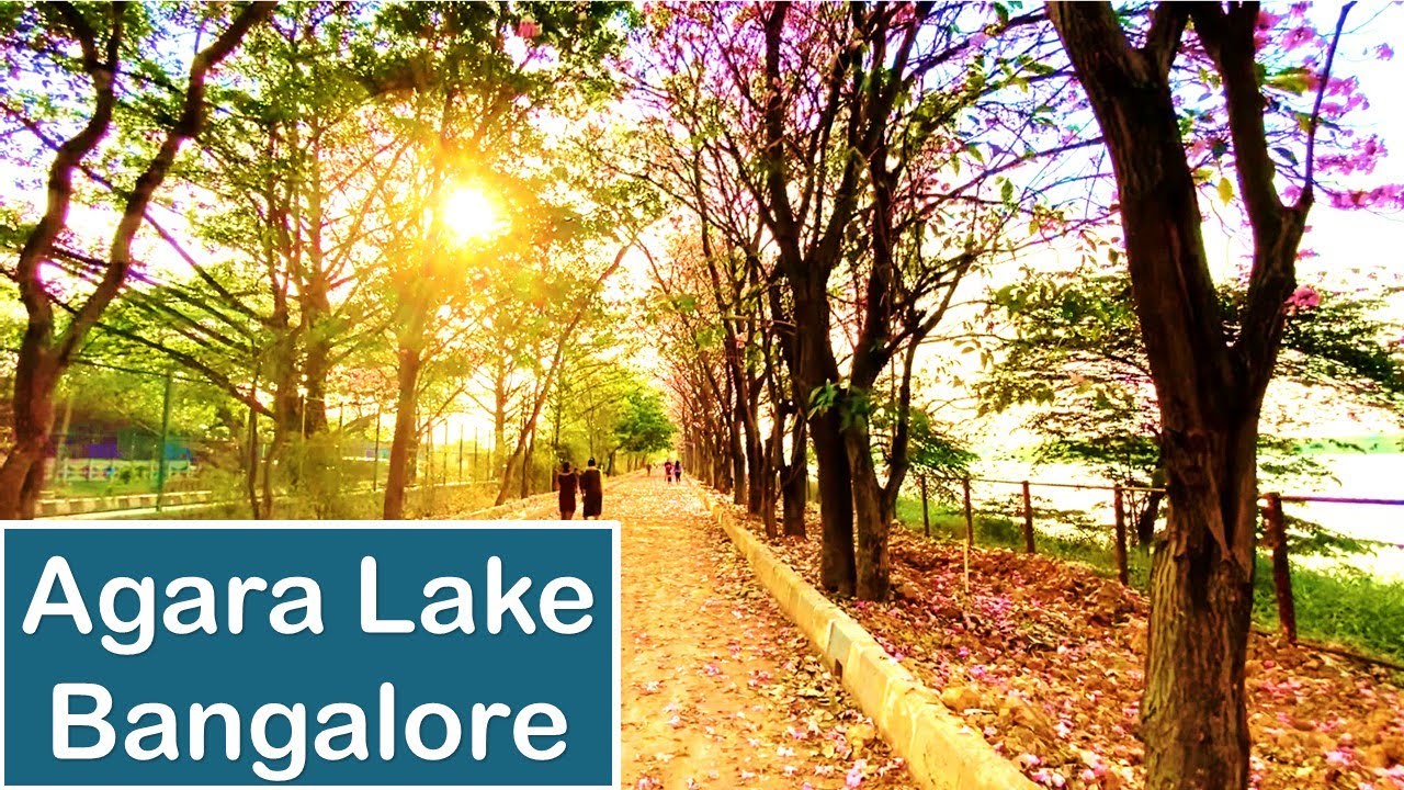 Agara Lake Bangalore | The biggest lake in town | Bangalore Guide - YouTube