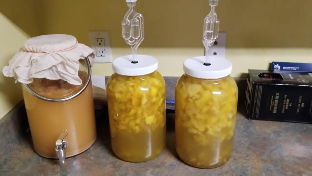 Homemade wine primary fermentation. Strawberry and grape. Young Family Wines. Newly starting ...