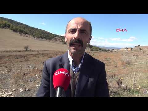 Köylüleri korkutan 'dev yılan' iddiası