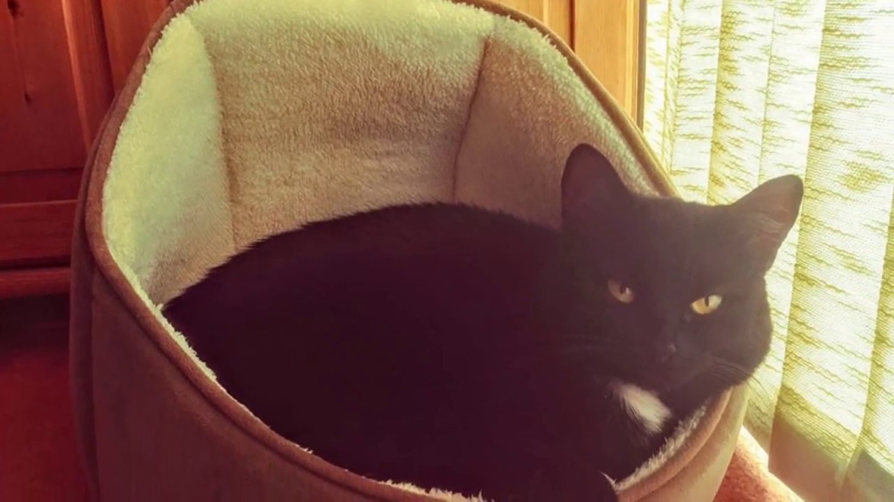 In For the Weekend by Richard Barriball - YouTube