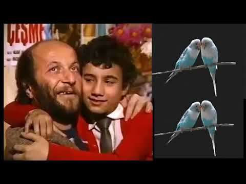 Sefer Aydın (Süleyman Meriç), \