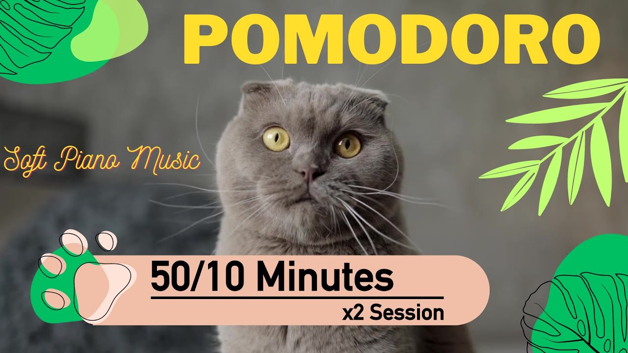 2 Hour Pomodoro Timer Piano Music | 50 Minutes Study and 10 Minutes ...