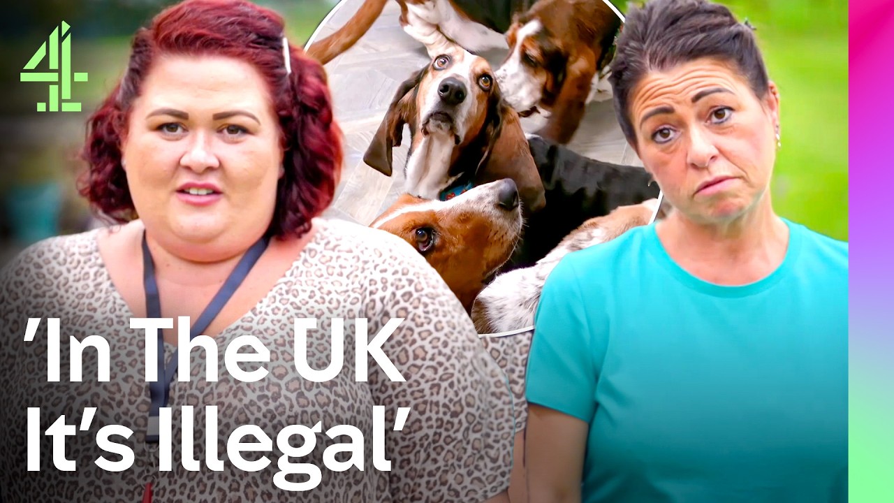 Will Mum And Daughter Be Able To Manage Their Six Basset Hounds? | Bad ...