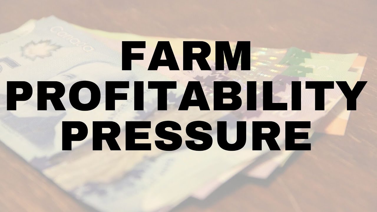 Farm profitability pressure and trade's value to rural areas - YouTube