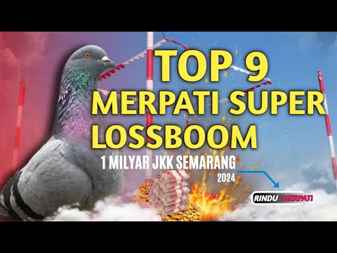 Edan - Edan‼️Top 9 Merpati Turun TerKencang LosBomm Di Event 1M Semarang