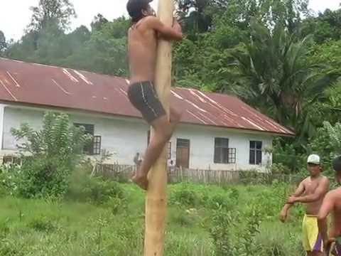 Panjat Pinang Perebutkan Bra Tiru Gaya Kera (bikin ngakak)