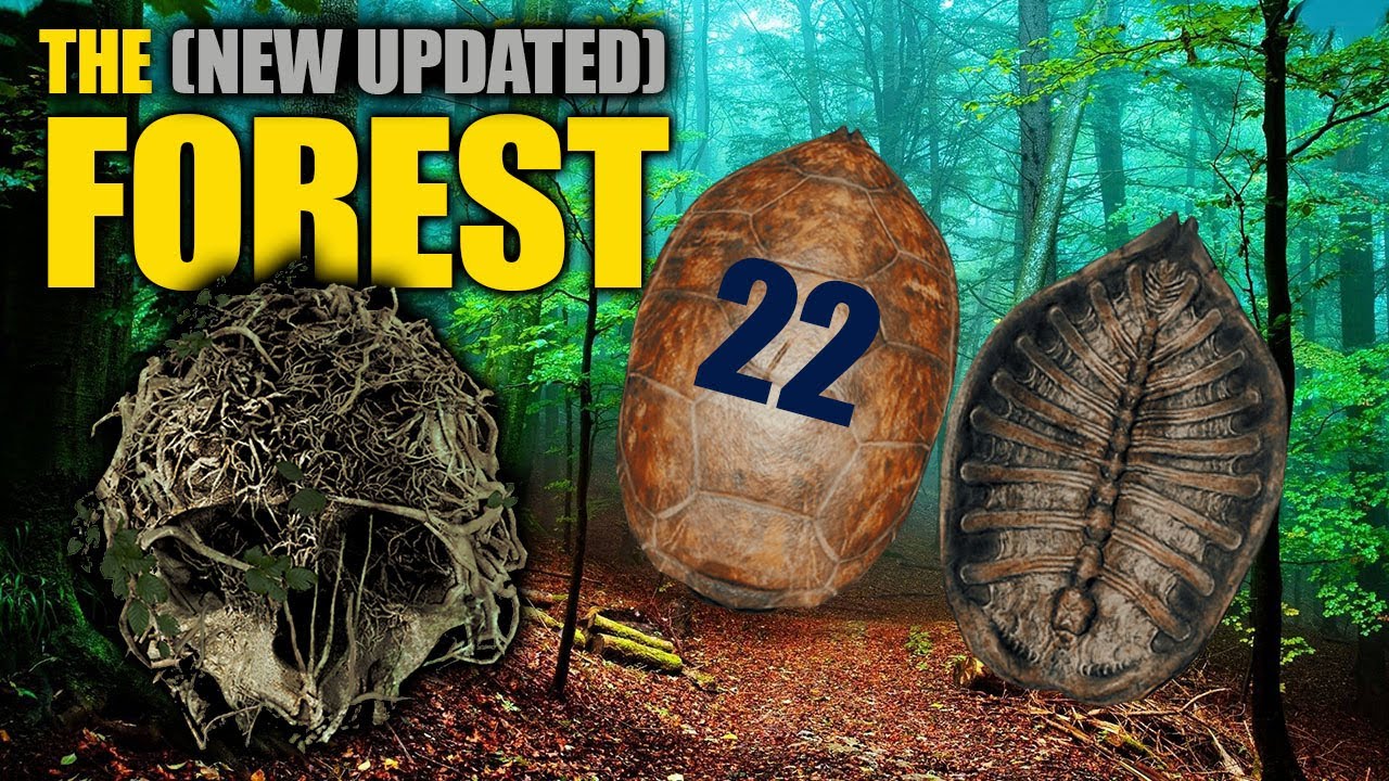 TURTLE SHELL GAMES! - THE FOREST (UPDATED)(EP.12) - YouTube