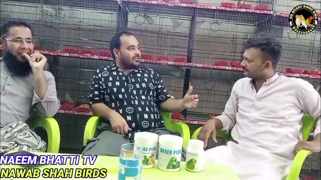 Nawab Shah update ZOHAB Khan Lovebird setup nawabshah visit to NAEEM BHATTI channel nawabshah ...