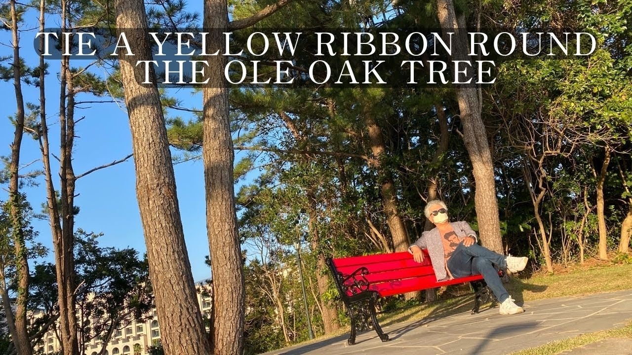 Tie a Yellow Ribbon Round the Ole Oak Tree - Cover by AMA (아마커버) #dawn ...