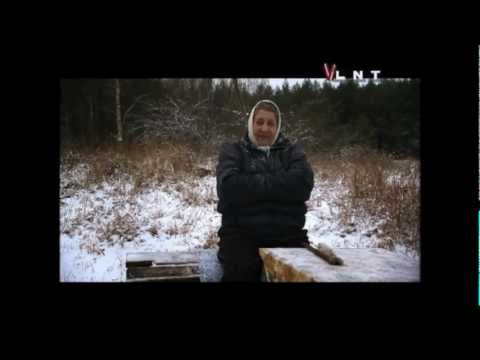 Intas tantes lamuvārdu vācelīte