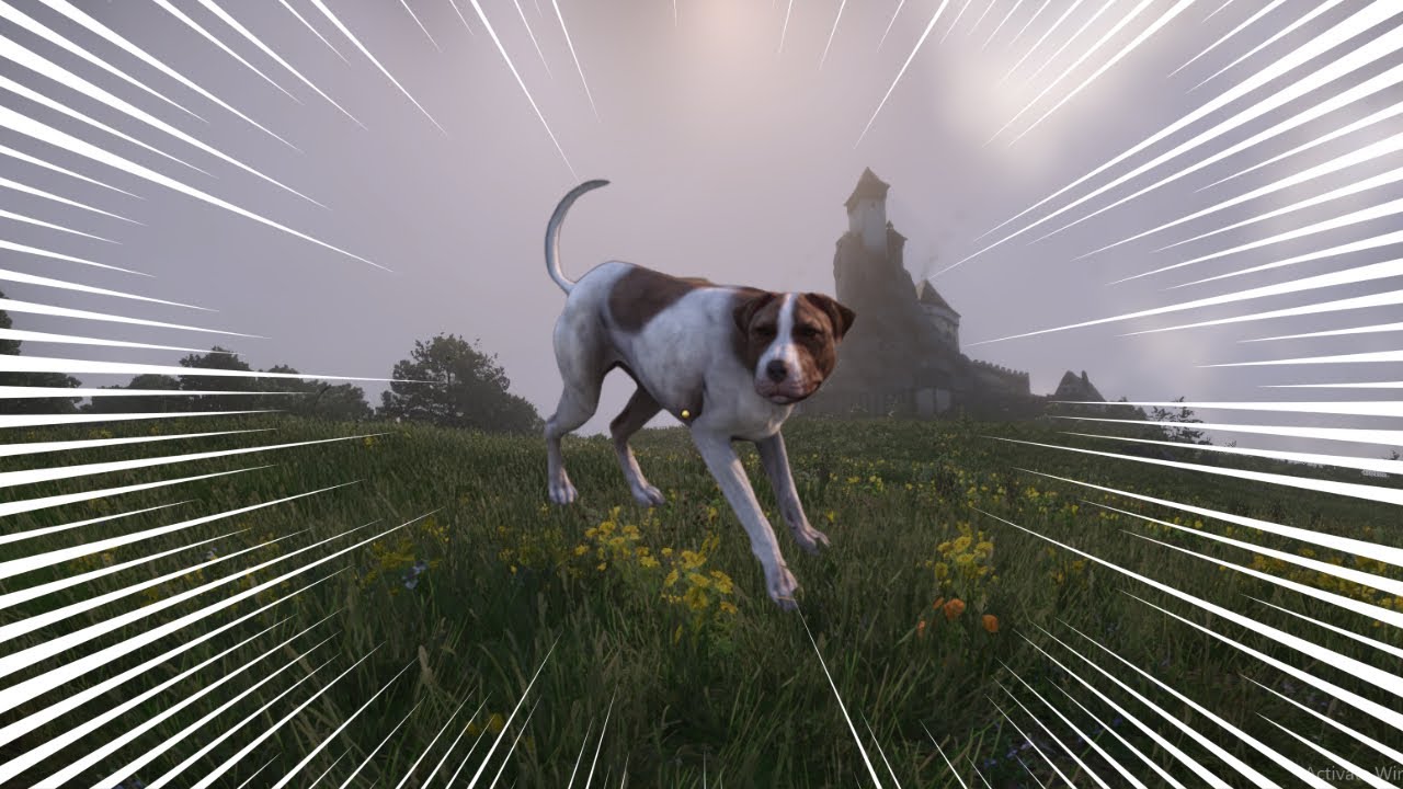 Finding Mutt!!! KCD2 Ep 6 - YouTube