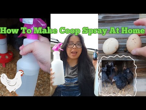 How To Make Coop Spray At Home 🐔🥚 #farm #sincerelyjasminh #barn # ...