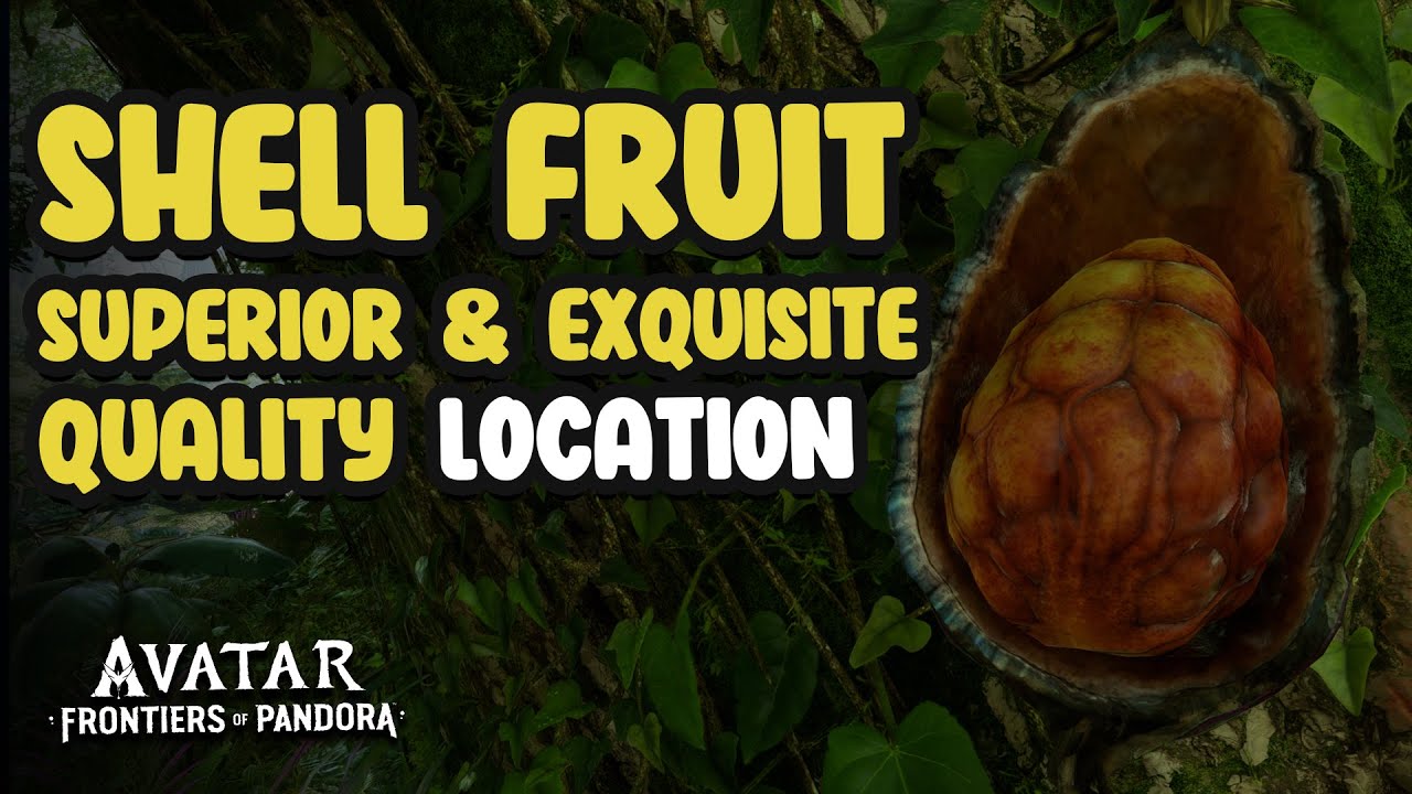 Shell Fruit Superior or Exquisite Location | Avatar Frontiers of ...