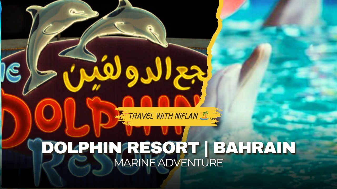 Exploring Dolphin Resort Bahrain 🐬 | Family Fun, Dolphin Show & Sea ...