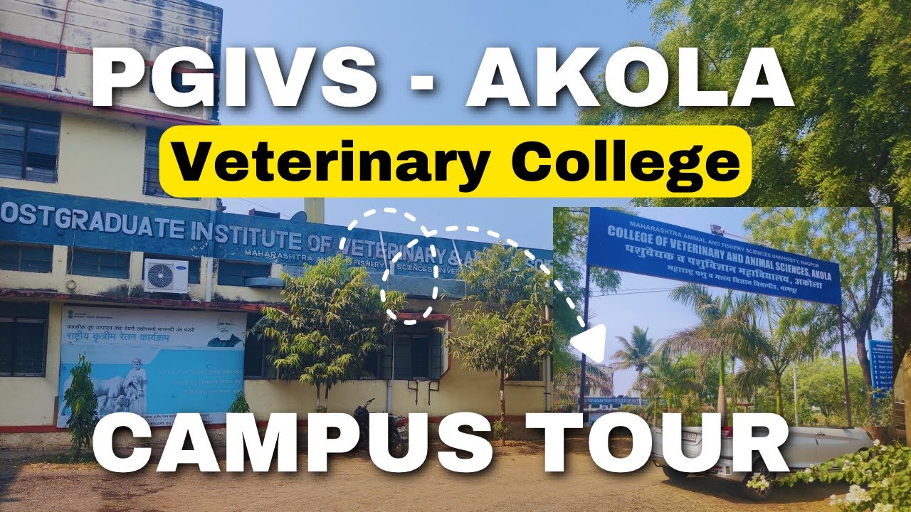 Akola Veterinary College Campus Tour 🔥 | PGIVS Akola campus tour ...