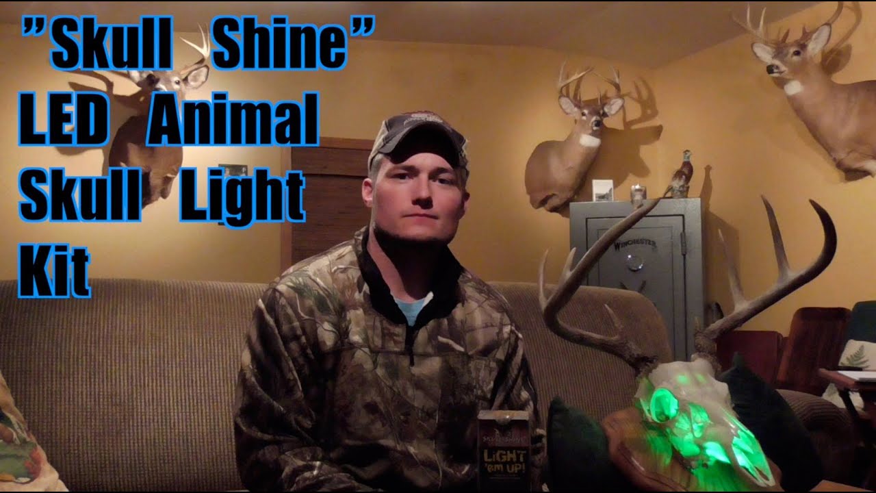 Skull Shine LED Skull Mount Lighting Kit - YouTube
