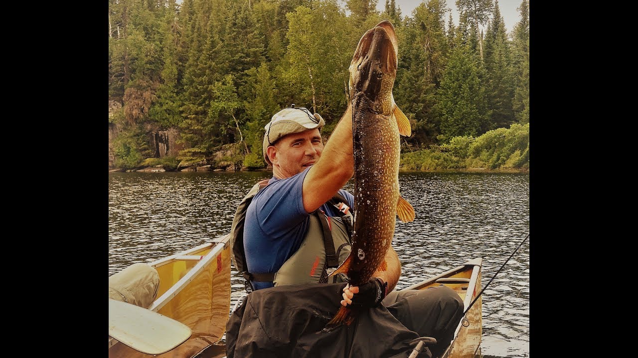 BWCA 2018 Thomas Lake Loop - YouTube