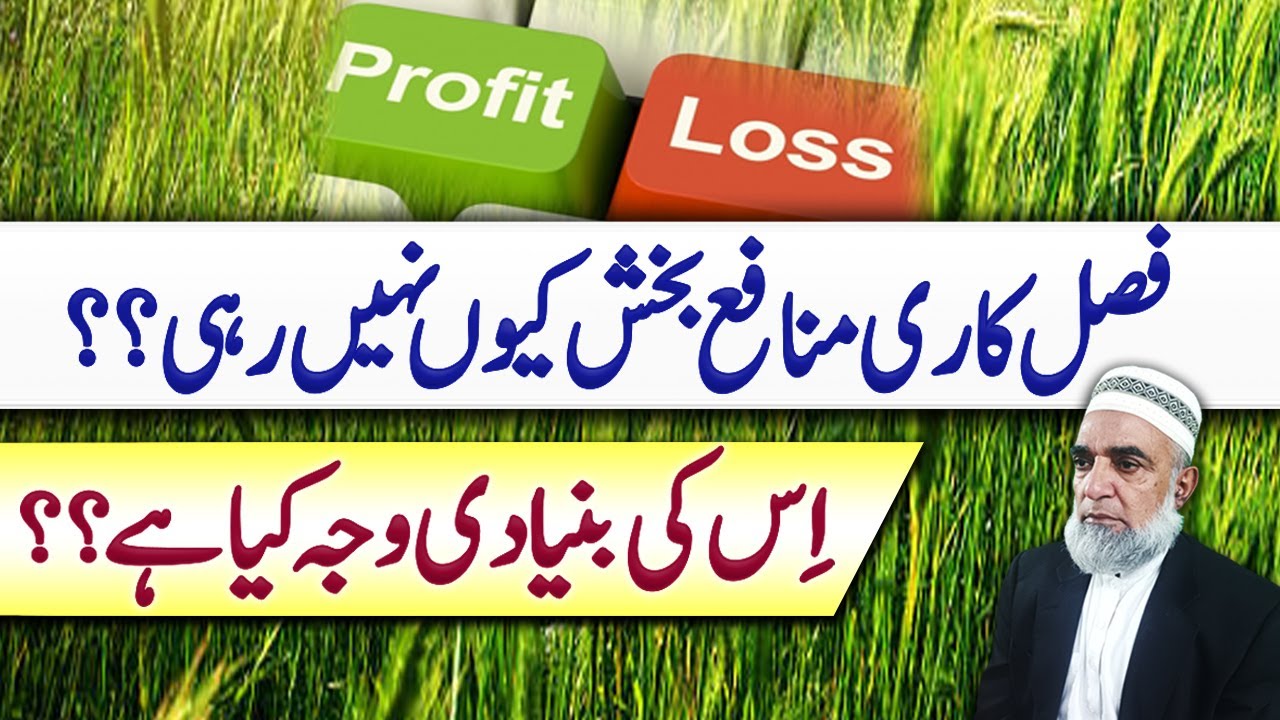 Why major crops in Pakistan not much profitable || Crop Reformer - YouTube