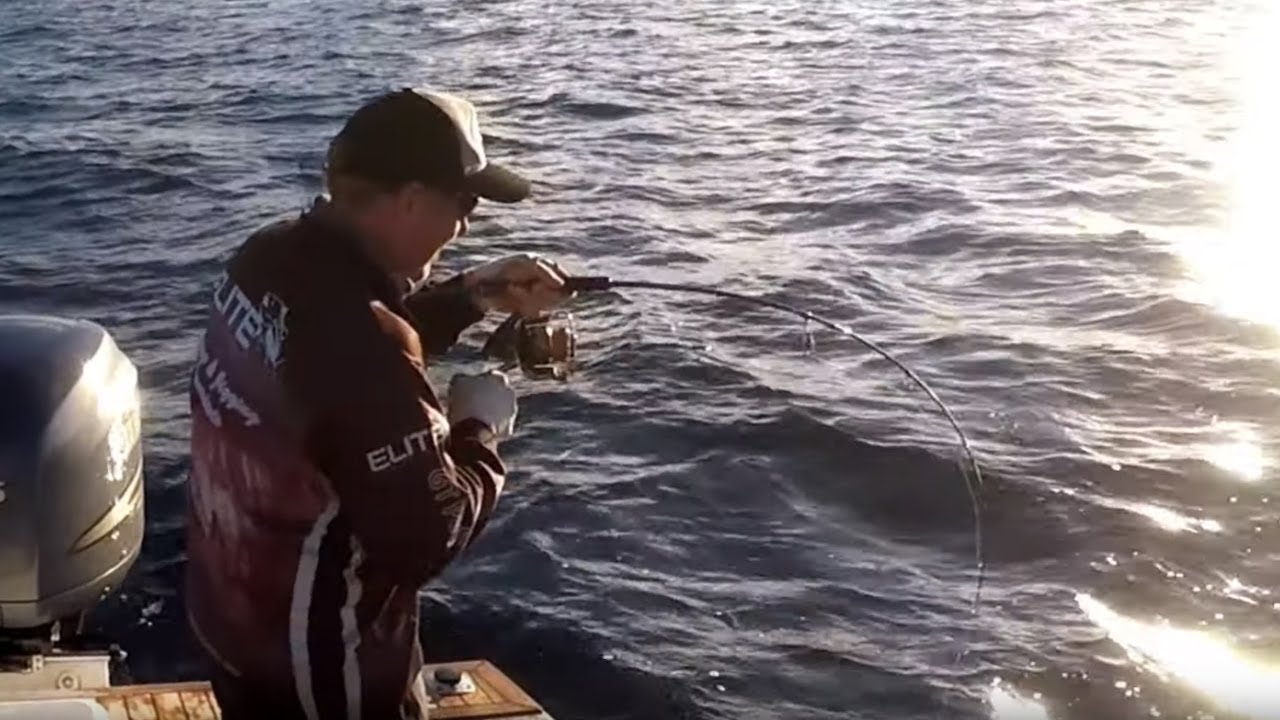 Ultimate Jigging Rod Specifically Designed For Australian Fish Species ...