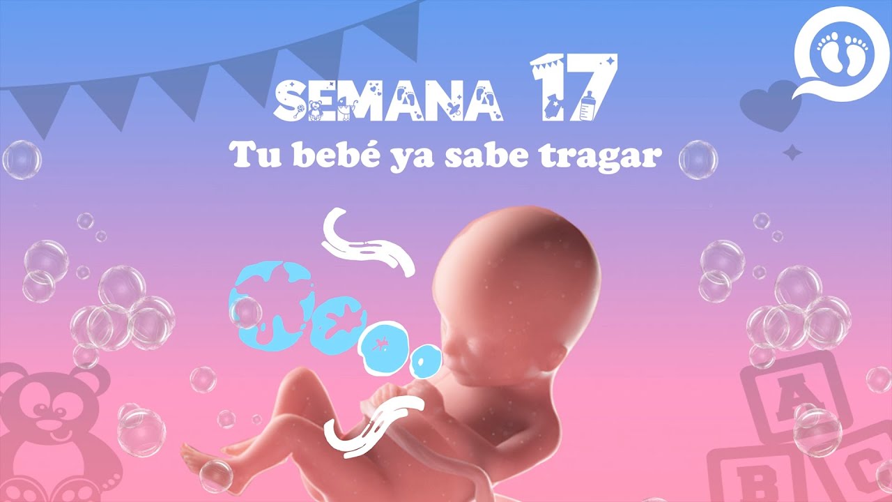 Semana 17 de #embarazo - YouTube