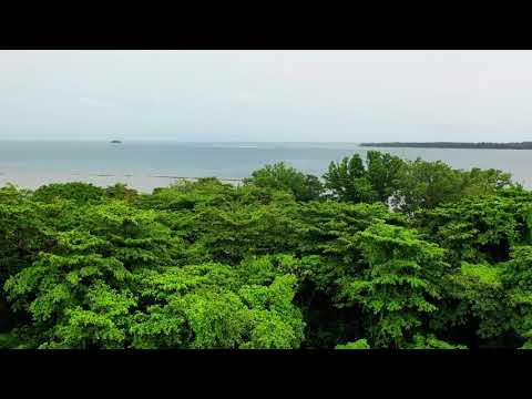 Amazing videos in 4KURD.NET