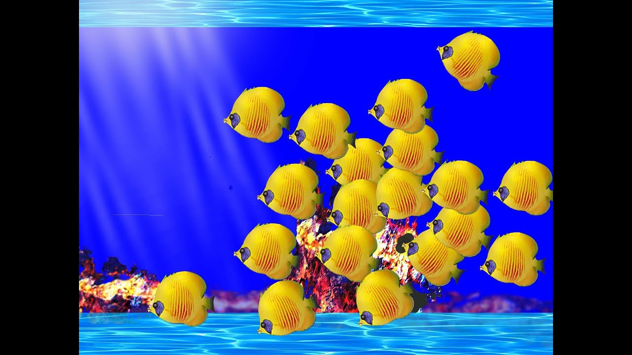 Beautiful Fish In 4k - YouTube