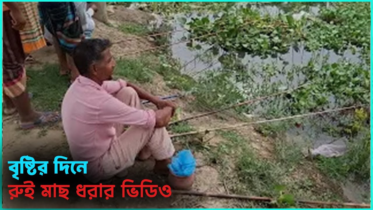 Big size Rui fish catching Village river Big Rui fish hook techinc Reel ...