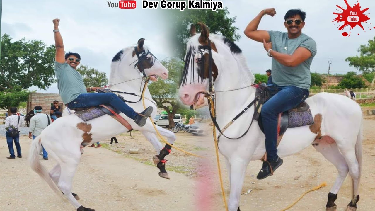 Deva Gurjar Kota! देवा डॉन का भजन !! छोड़ो छोड़ो मामीजी घोड़ा की लगाम # ...