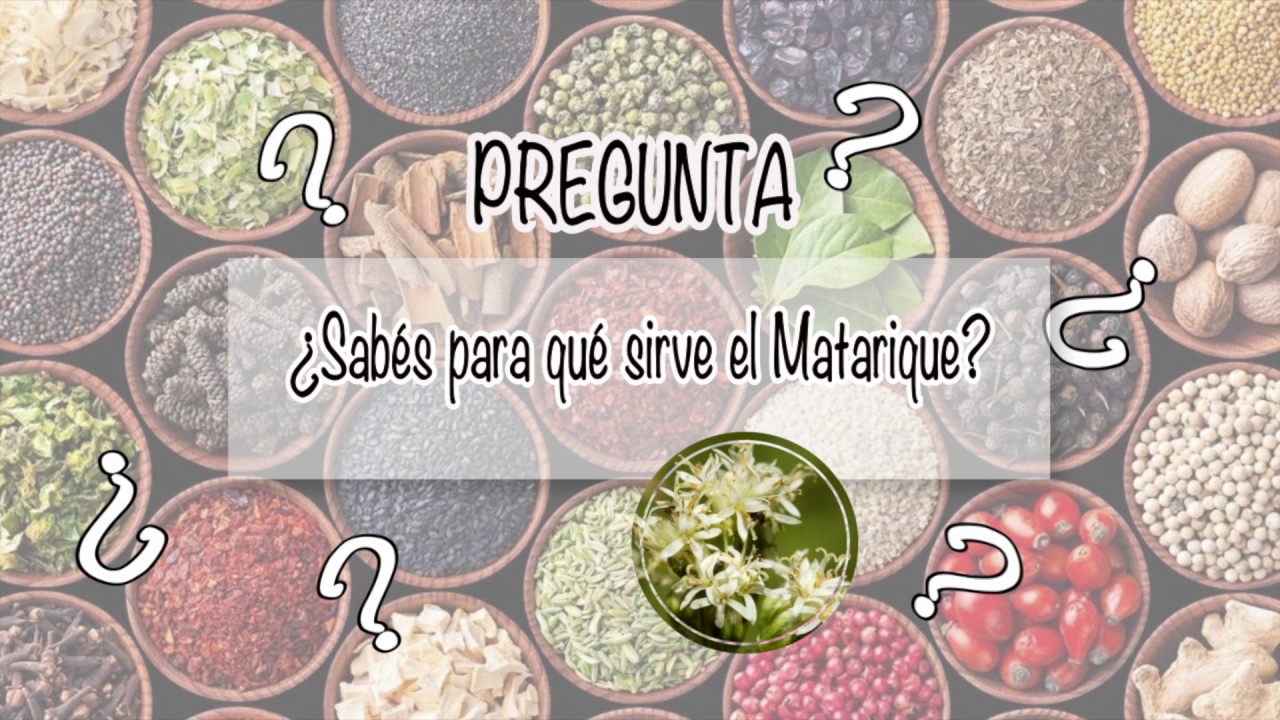 NUTRIBELLA - PROPIEDADES DE SACASIL - YouTube