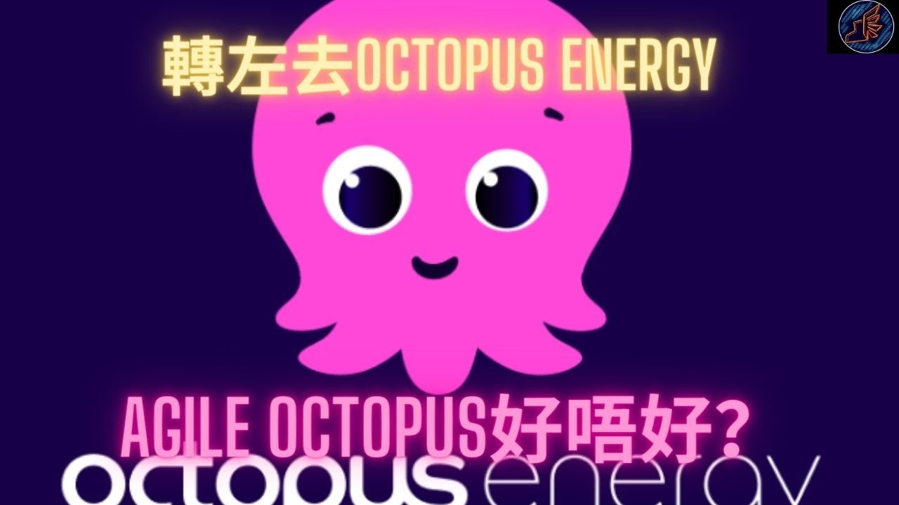 英倫生活篇 -- 轉用左一個月Octopus Energy Agile Octopus，係唔係真係人人啱用？ - YouTube
