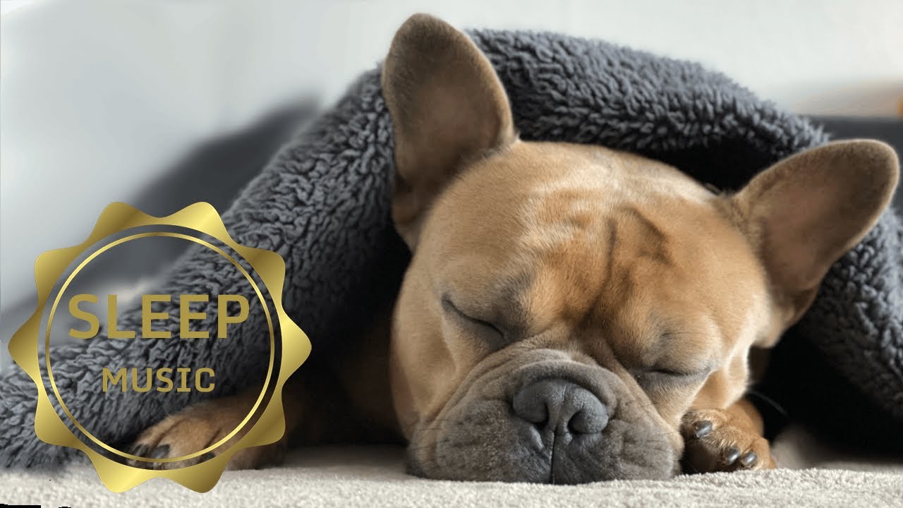 Sleep Music for Falling Asleep and Reduce Stress - YouTube