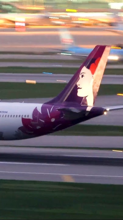 Hawaiian Airlines Airbus A330 N390HA landing in Incheon ICN/RKSI 하와이안항공 인천공항 착륙 ...