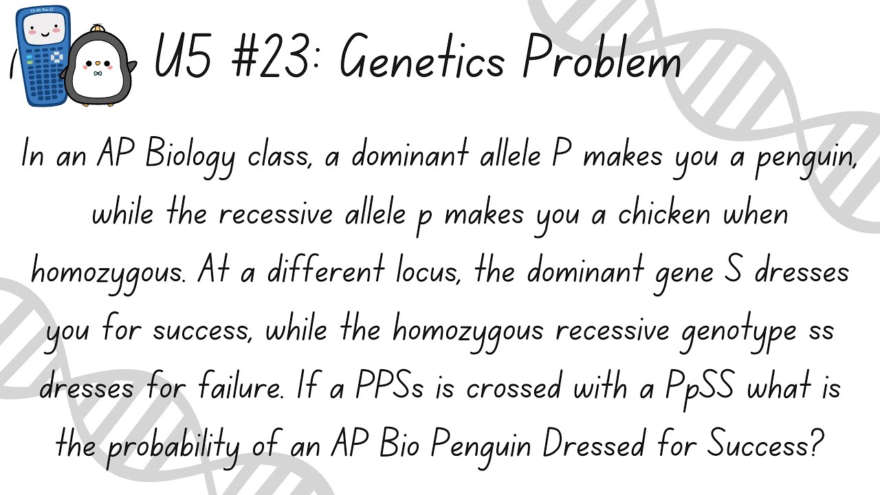 AP Bio Math Minute: Genetics Problem - YouTube