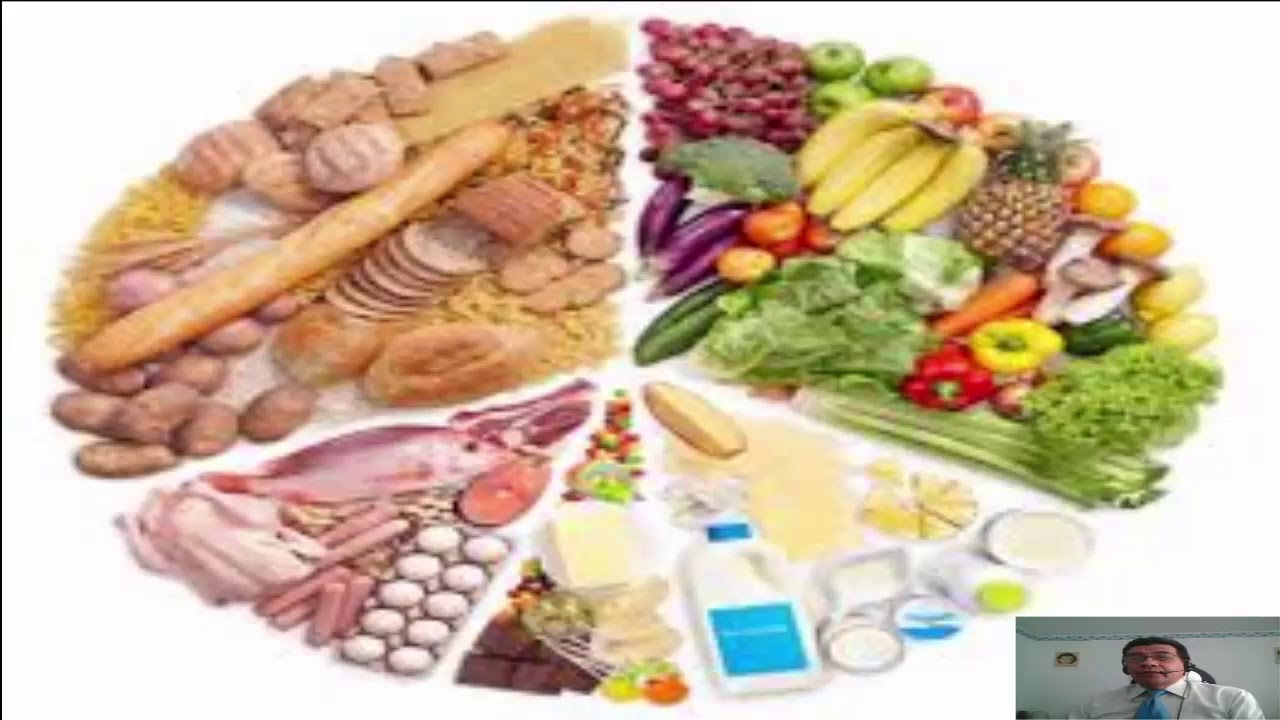 ALIMENTO KOSHER 2DA PARTE - YouTube