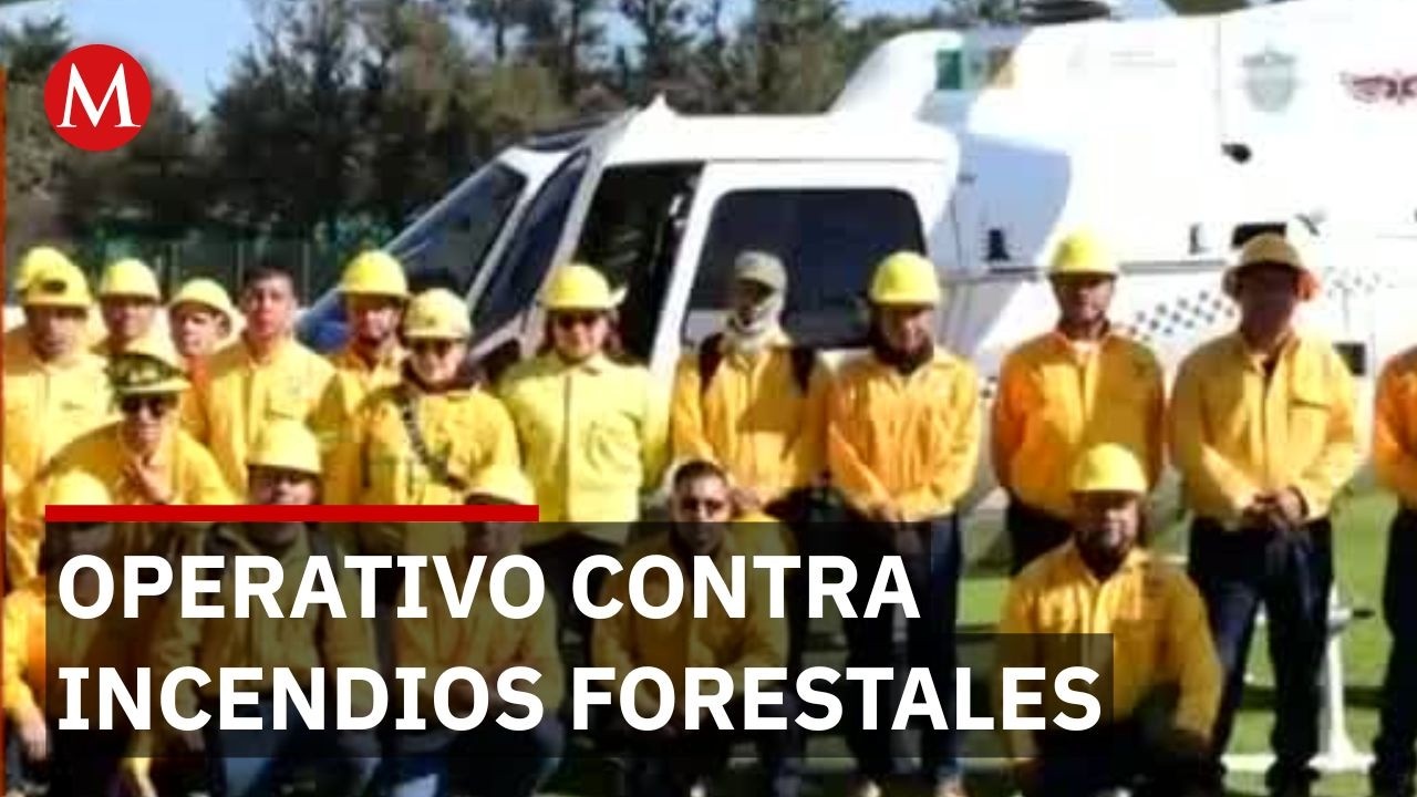 Guardia Forestal vigilará Michoacán desde el espacio para evitar ...