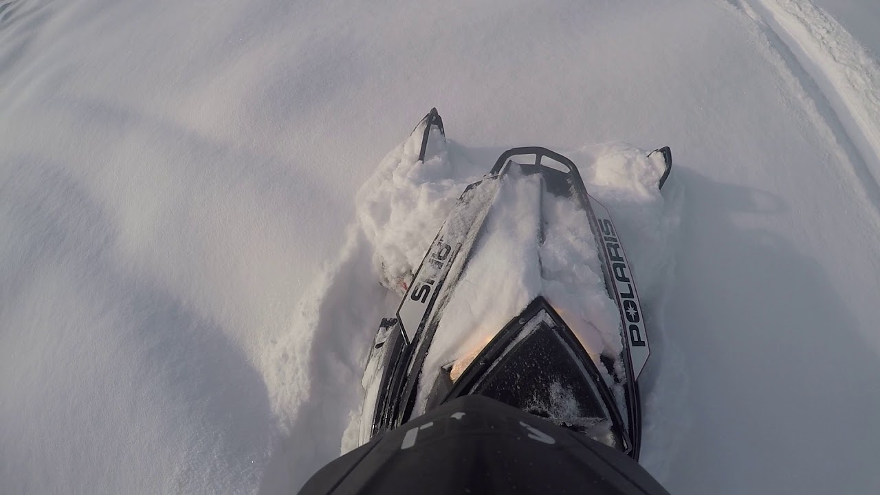 Snow machine tree riding in Willow, Alaska - YouTube