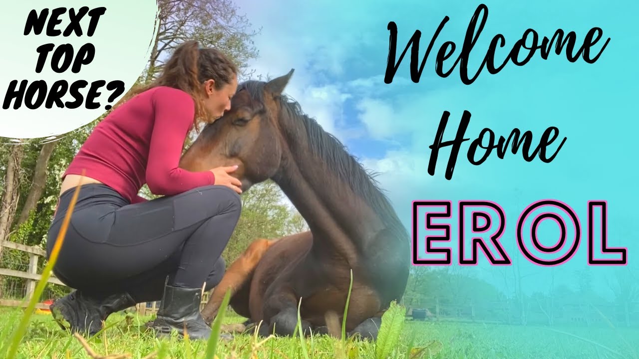 WELCOME HOME EROL! | MY NEXT TOP EVENT HORSE? || VLOG 41 - YouTube