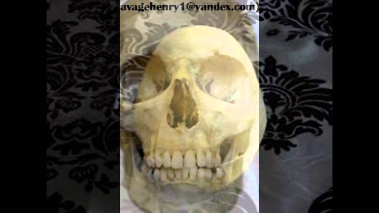 Real human skulls and human skeletons for sale - YouTube