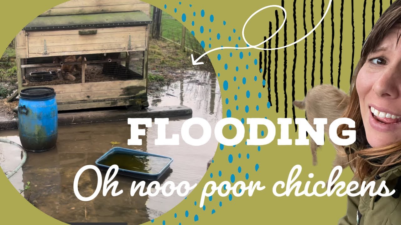 Crazy flooding, FARM CITY DIVIDE. - YouTube