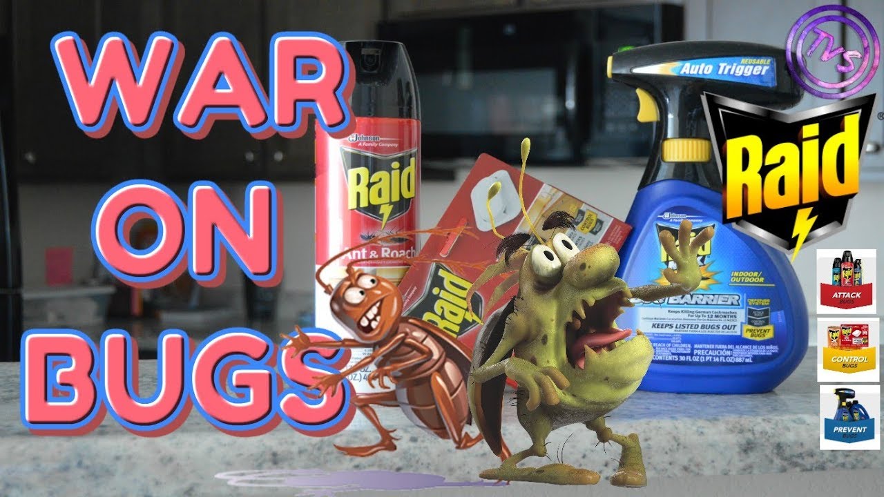 How To Use RAID Products - WAR ON BUGS - YouTube
