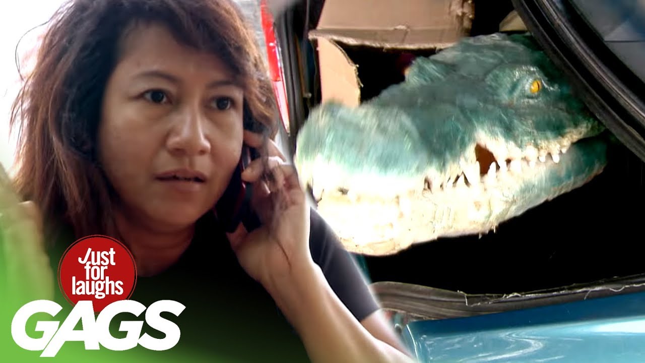 Alligator Attack Caught on Tape - JFL Gags Asia Edition - YouTube