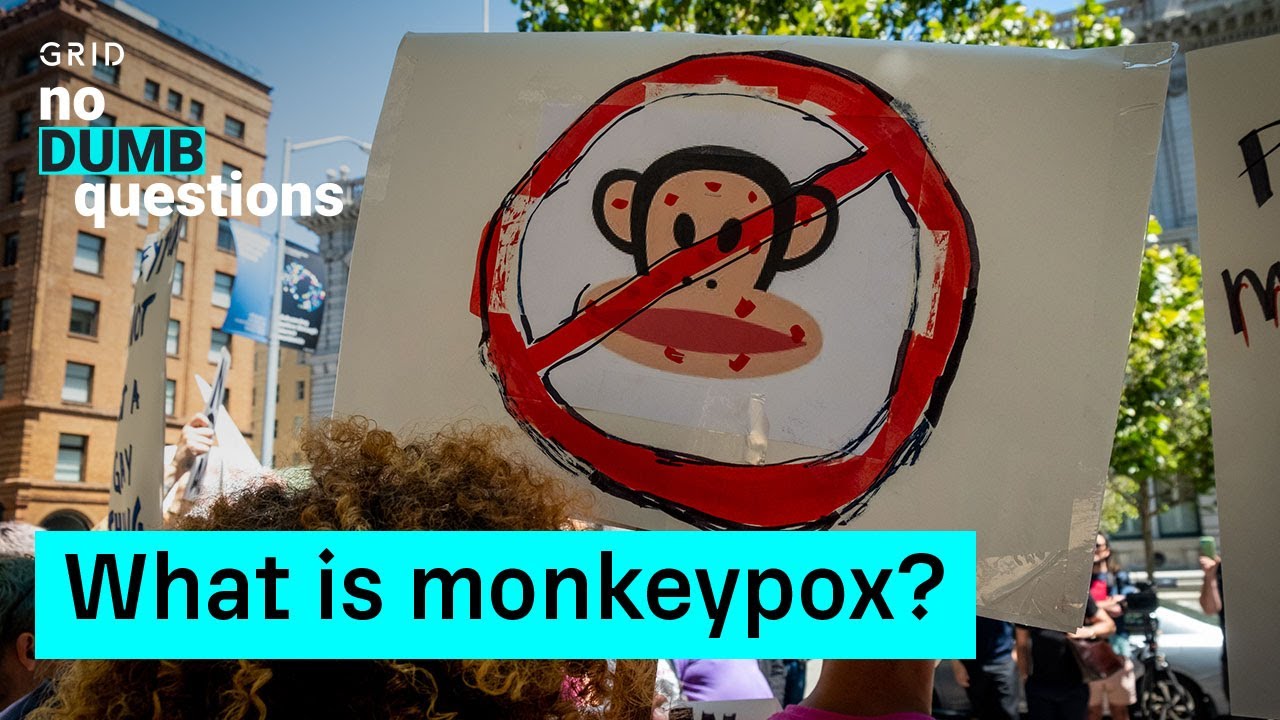 Monkeypox: What Is It And Is It Deadly? | No Dumb Questions - YouTube