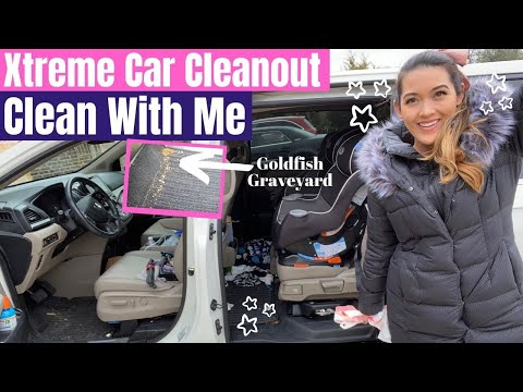 DISASTER CAR CLEAN WITH ME | Mom Van Deep Cleaning Detail | Honda Odyssey Minivan