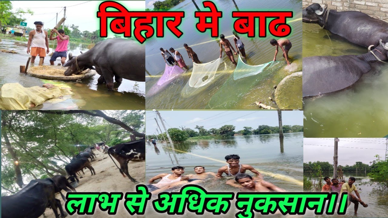 बिहार मे बाढ़।bihar me badh,( current india) flood in bihar on ...